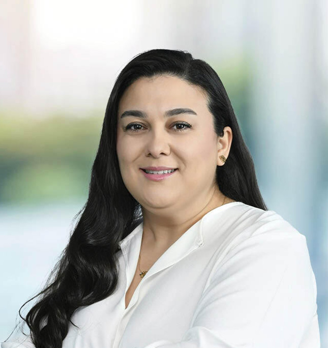 Üst Yönetim - Naturelgaz - Taşımalı Doğal Gaz Çözümleri